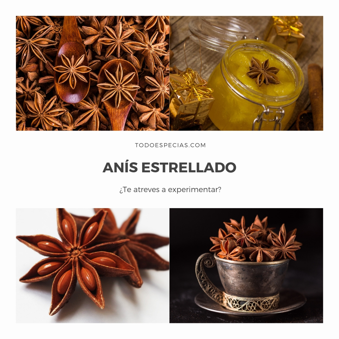 El anís estrellado: toda la información y sugerencias de uso ...