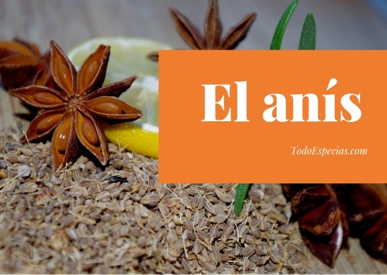 El anís: toda la información y sugerencias de uso - TodoEspecias