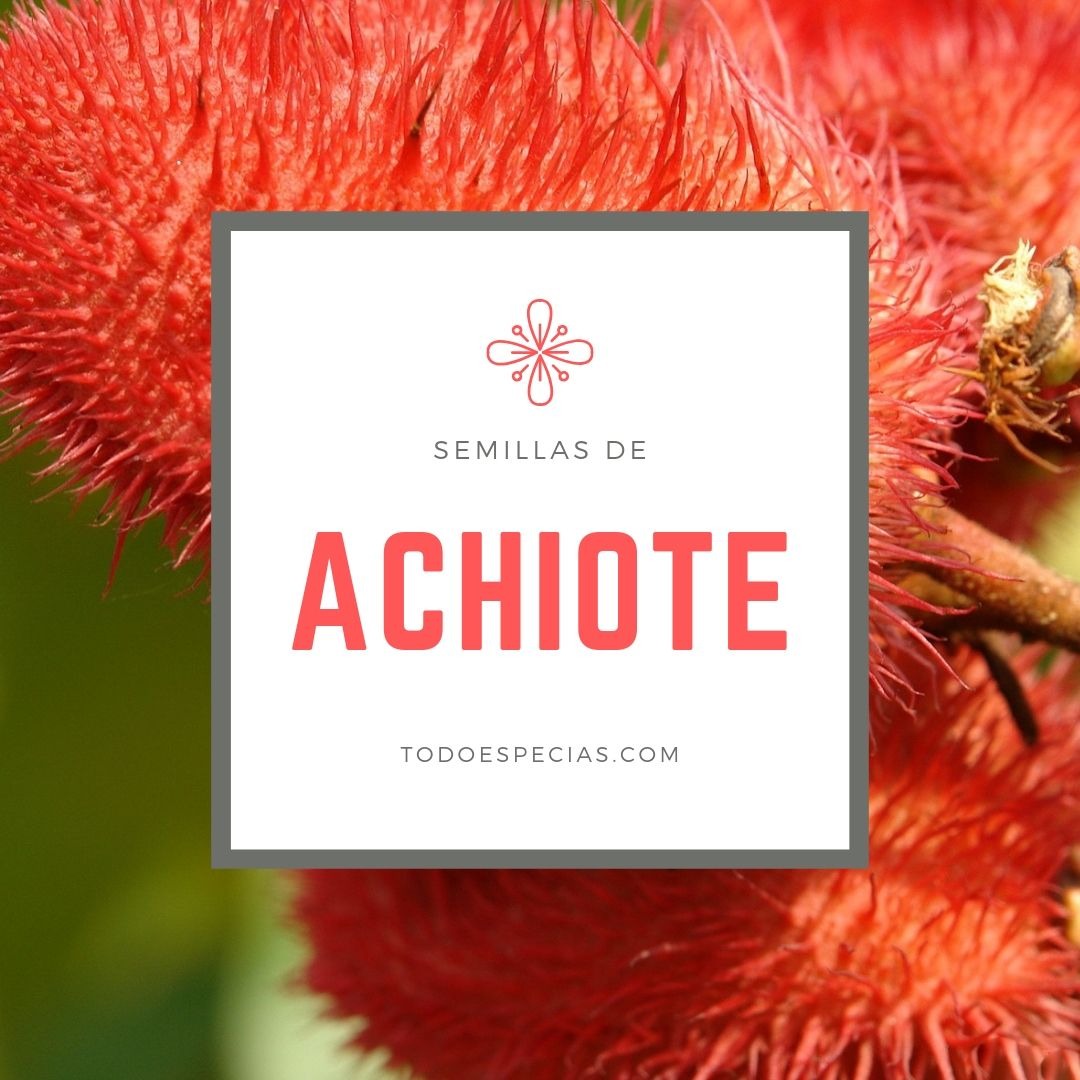 Las semillas de achiote: toda la información y sugerencias de uso ...